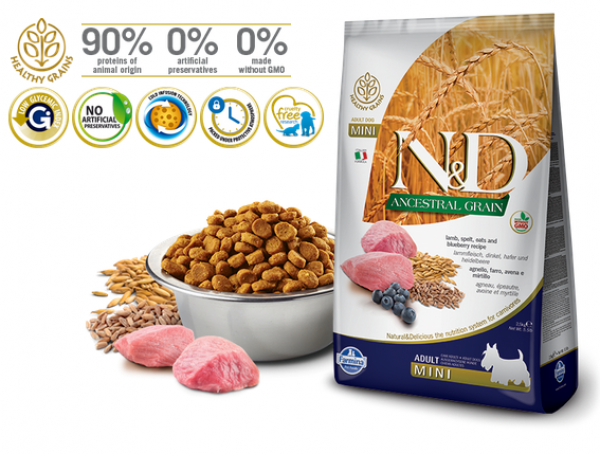 N&D Suva hrana LG Mini Adult Lamb&Blueberry 2,5 kg
