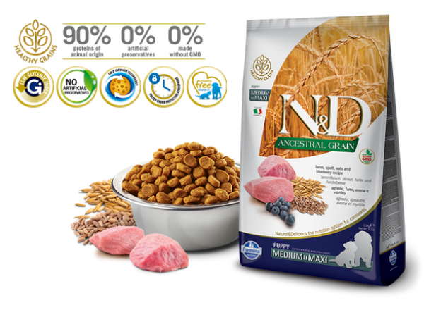 N&D Suva hrana LG Puppy Medium and Maxi Lamb&Blueberry 2,5kg