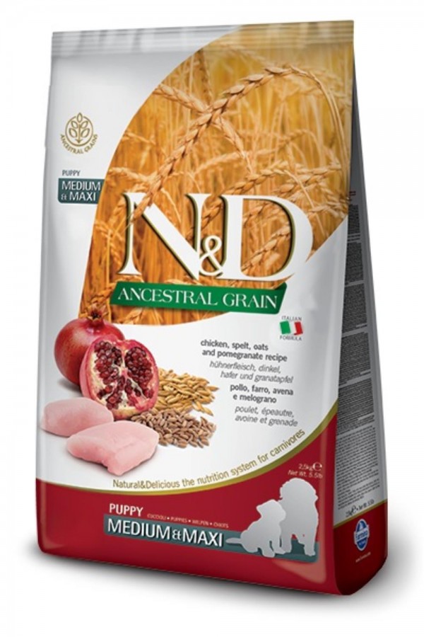 N&D Suva hrana za pse Ancestral Grain Chicken & Pomegranate Puppy Medium & Maxi 12kg