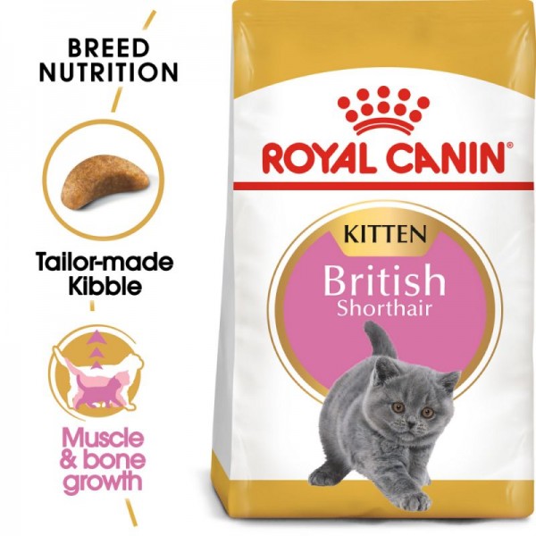 Royal Canin Suva hrana za mačiće Kitten British Shorthair - 400gr.