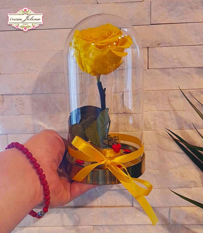 Žuta dehidrirana ruža u zvonu