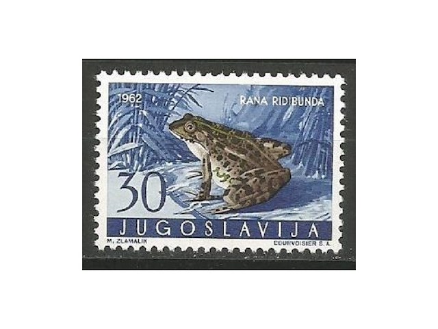 Fauna 30 din 1962.,čisto