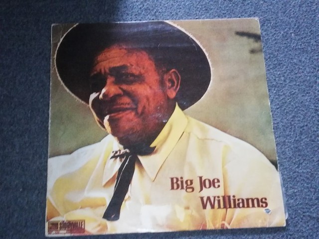 Big Joe Williams