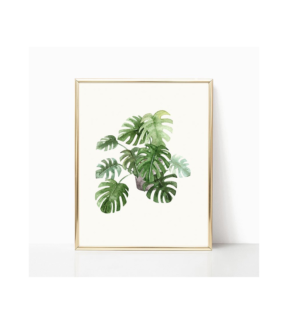 MONSTERA - KRALJICA DŽUNGLE. POSTERI ZA ZID DNEVNE SOBE (ART. P-1134)