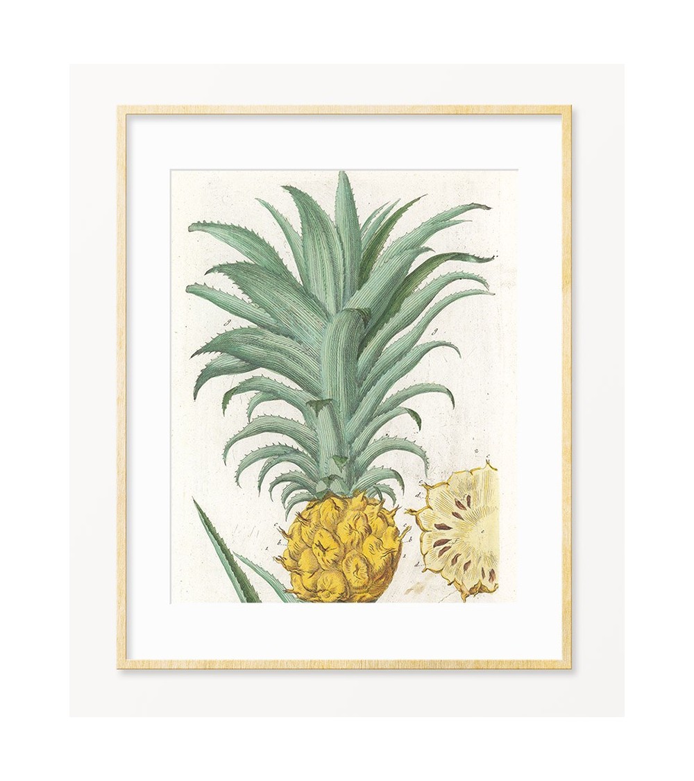 ANANAS UMETNIČKA REPRODUKCIJA NA PREMIUM PAPIRU (ART. P-3115)