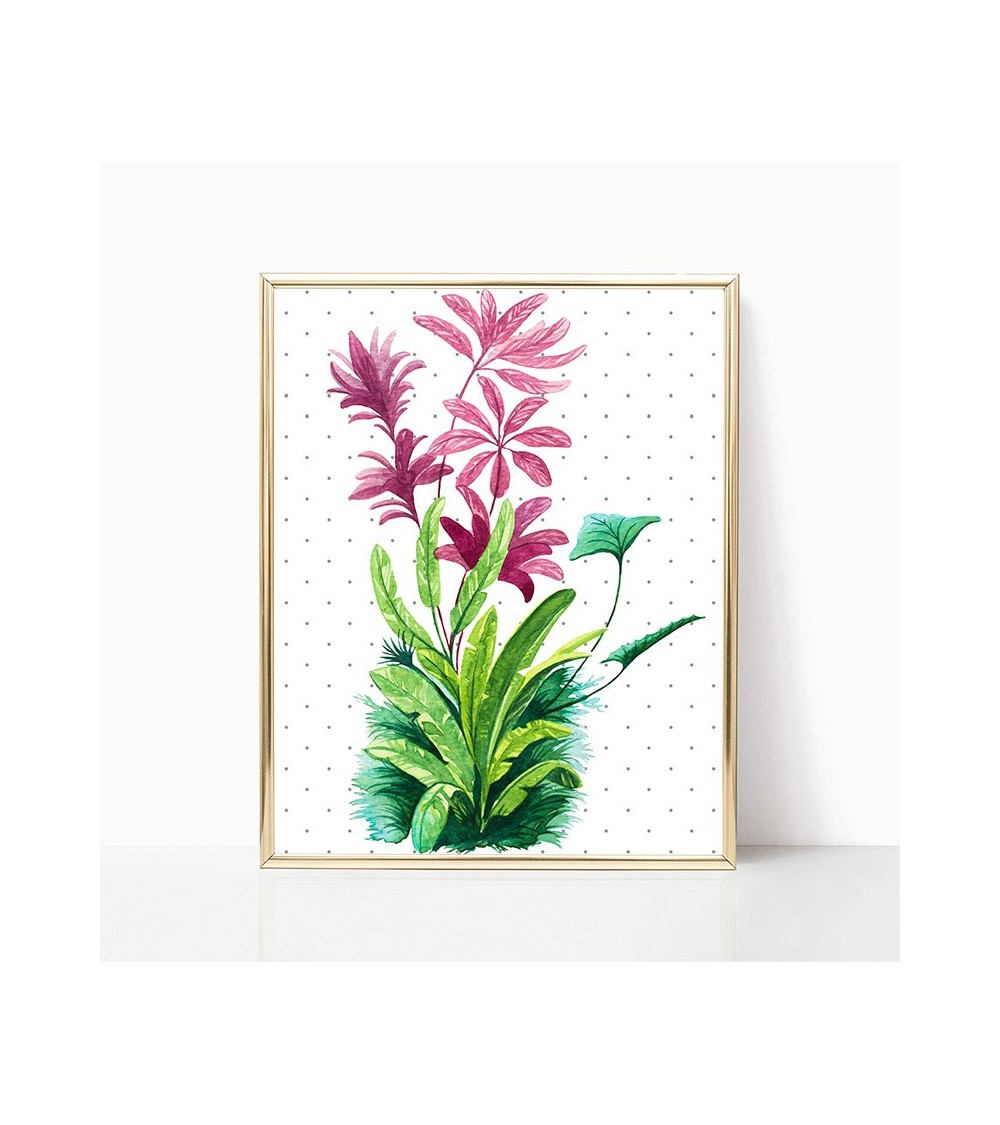 Tropsko cveće - poster iz serije Moja Botanička Bašta (art. p-0765)