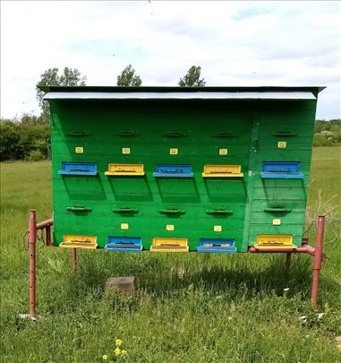 Prodajem kontejner sa 10 az grom košnica sa pčelam