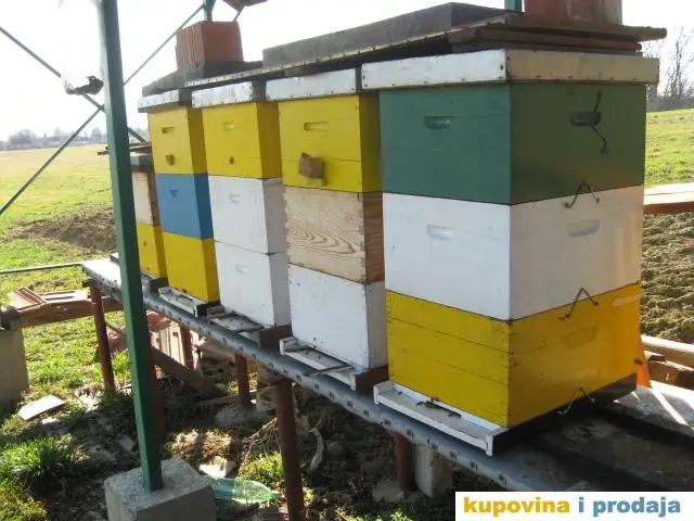 Radnici u pčelarstvu
