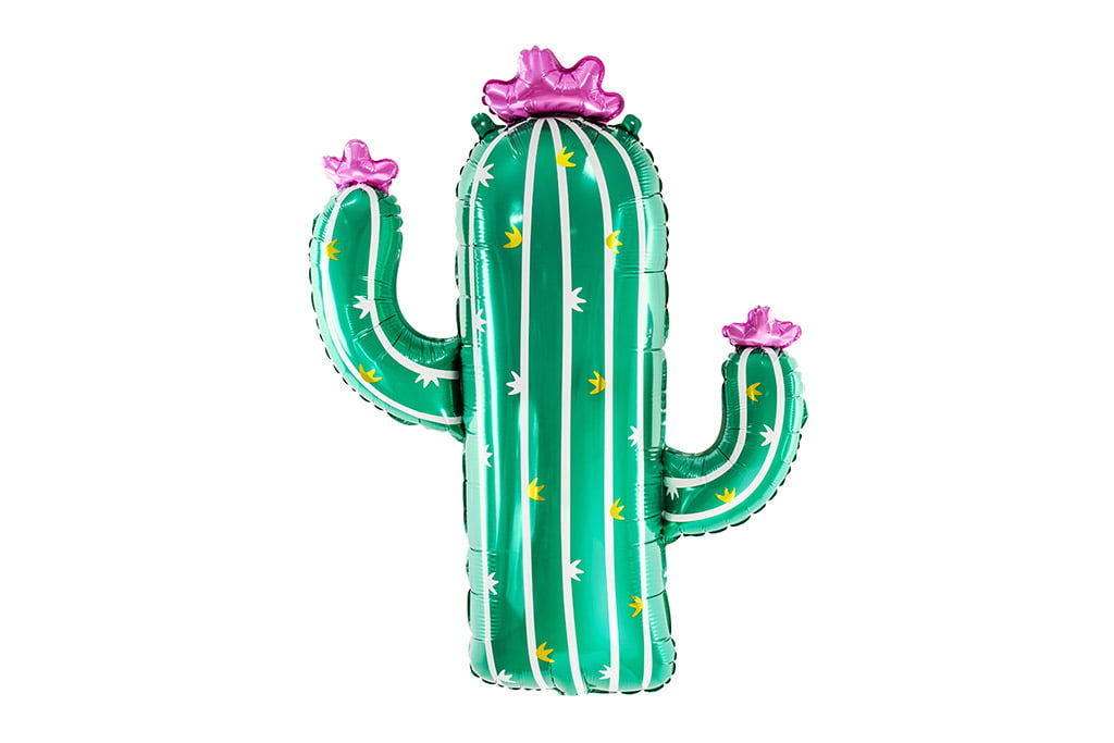 Kaktus – 82cm