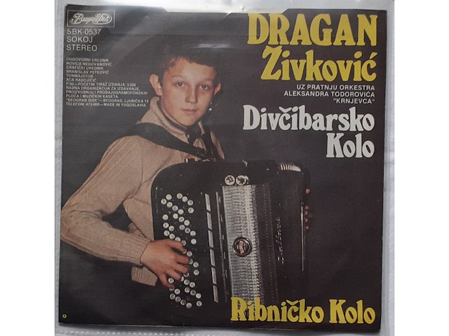 DRAGAN ZIVKOVIC - DIVCIBARSKO KOLO