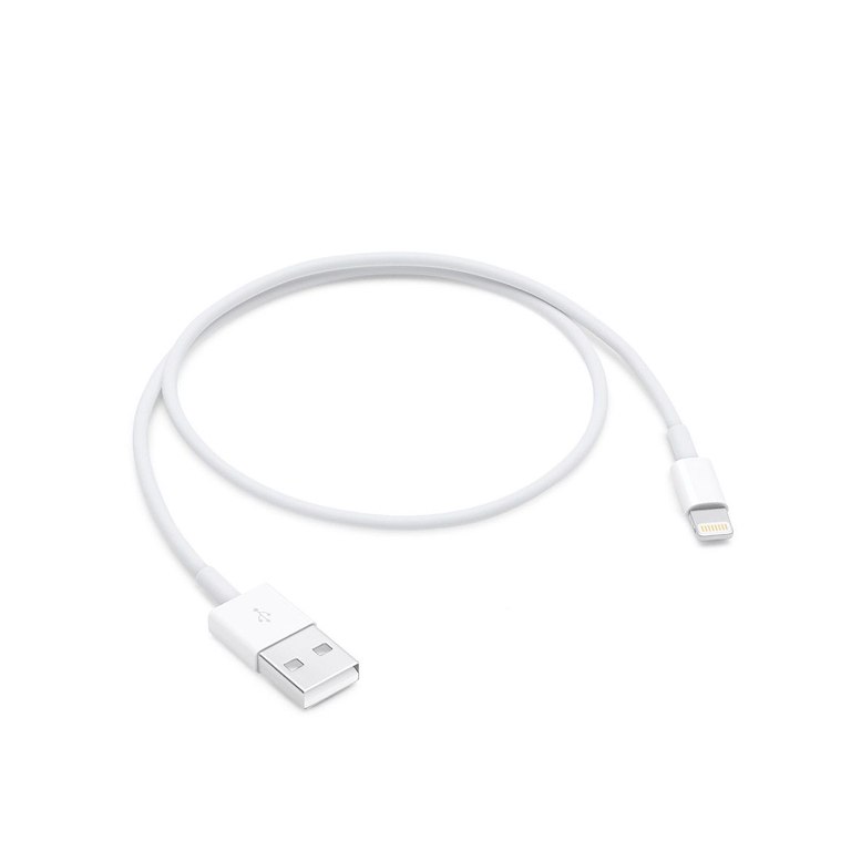 Apple Lightning to USB Cable