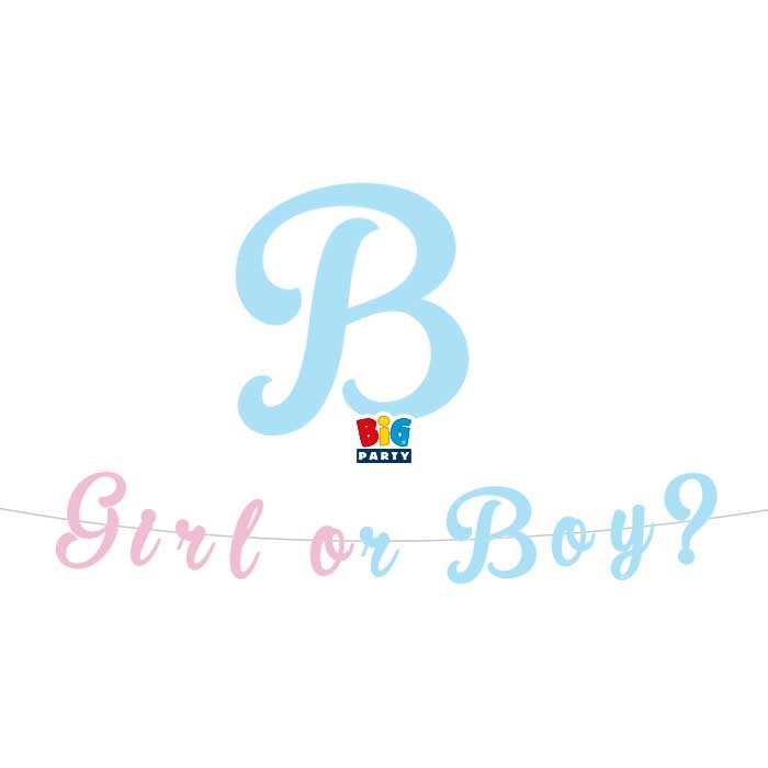 Boy or Girl baner za otkrivanje pola bebe