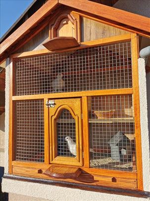 Kavez za golubove