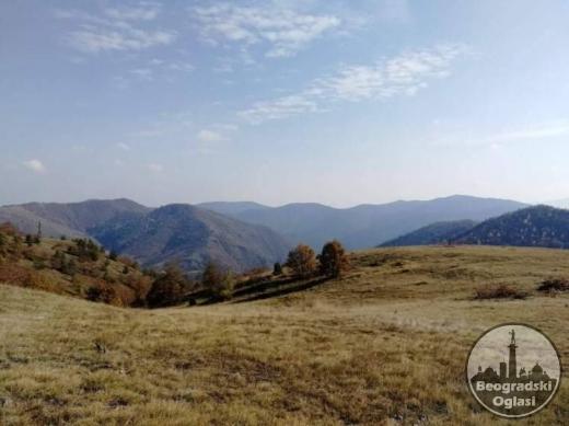 Na prodaju od 1 do 5ha zemlje Zlatibor-Semegnjevo