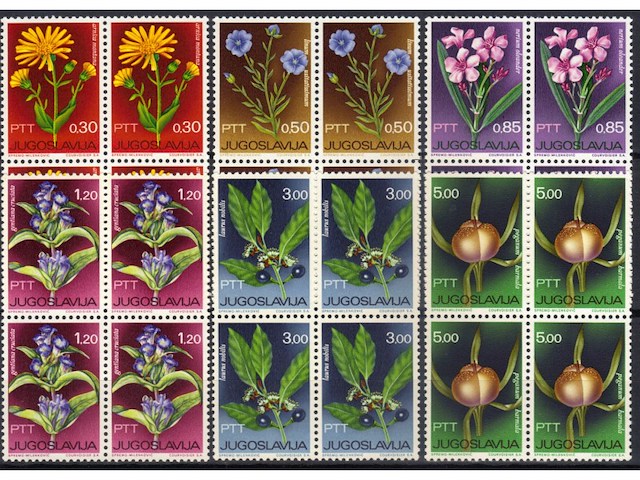 Flora 1967.,četverci,čisto