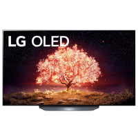 LG OLED55B13LA