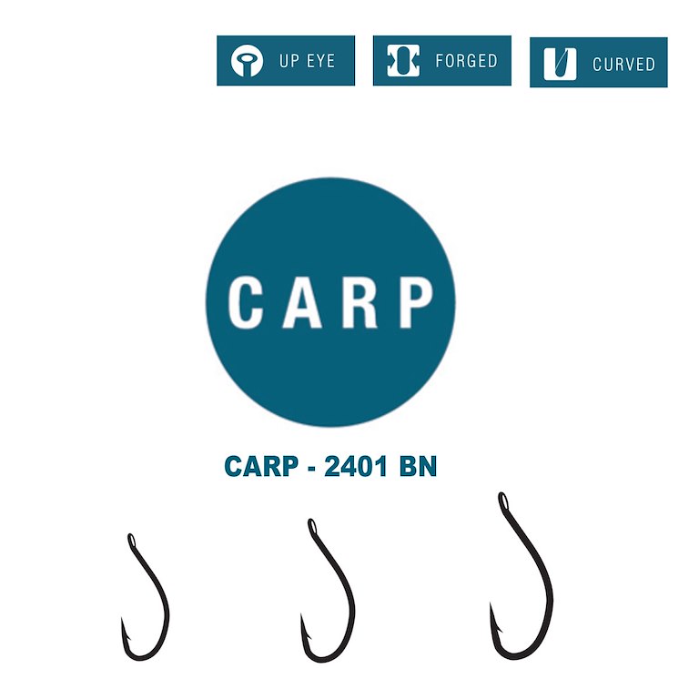 CARP – 2401 BN