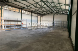 Zemun, Altina, , 3.5, 2350m2, 1500000EUR