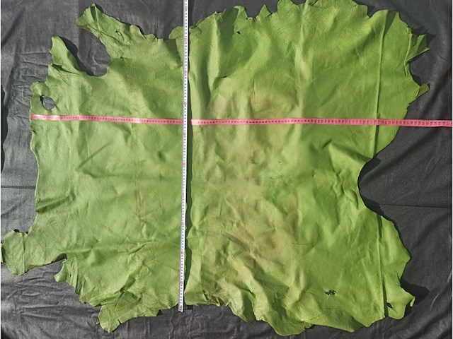 Prirodna koža zelena meka tanka 1,42m2