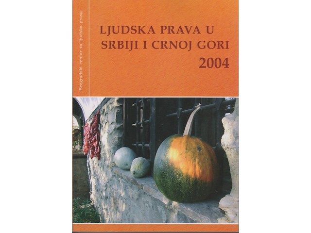 LJUDSKA PRAVA U SRBIJI I CRNOJ GORI 2004 / perfektttttt