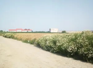 Prodaja Građevinsko zemljište - Zemun, Zemun Polje