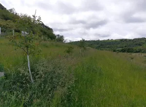 Prodaja Građevinsko zemljište - Fruška Gora - Sever