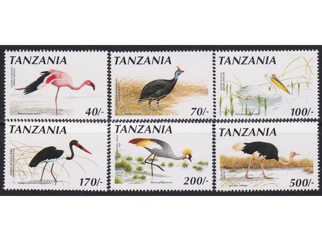 Tanzanija Ptice cisto