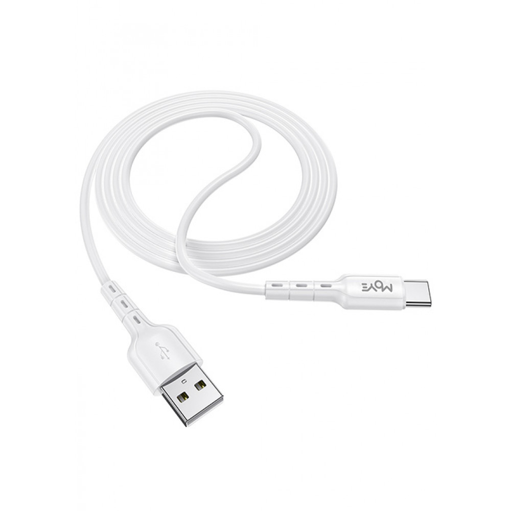 Type C Data Cable 1m