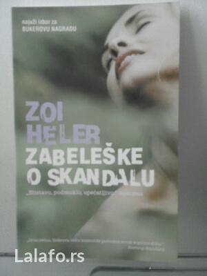 ZABELESKE O SKANDALU, Zoi Heler, Izdavac: Laguna, 2005. god. str.231