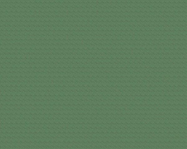 A.S. Création Wallpaper «Uni, Green» 372111