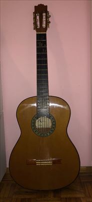 Gitara Aster GC-15