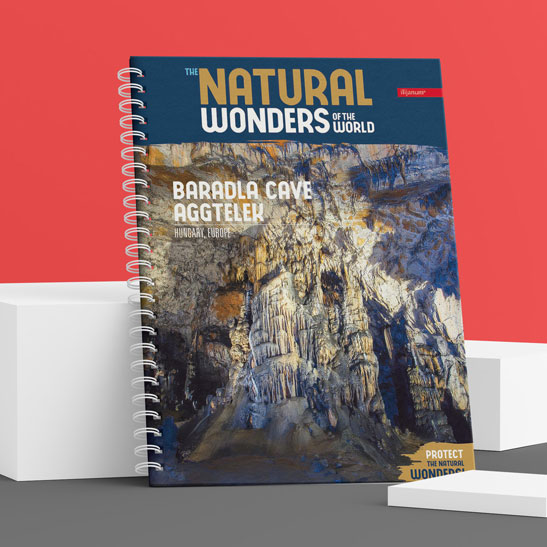 Sveska A4 NATURAL WONDERS SPIRALA 80L Dikto Ilijanum