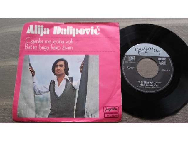 Alija Dalipović - Ciganka me jedna voli