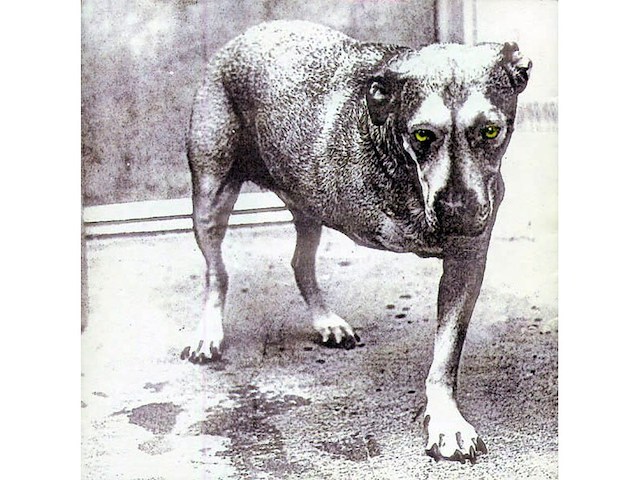 Alice In Chains-Alice In Chains(cd)/1995/