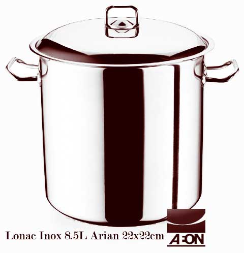 Lonac Inox 9L Arian 22x22cm