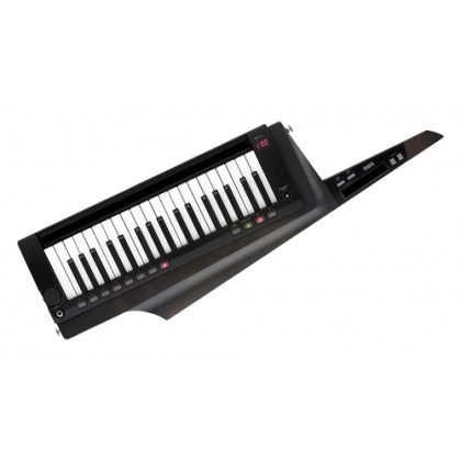 Music box
Korg RK-100S 2BK Keytar Black