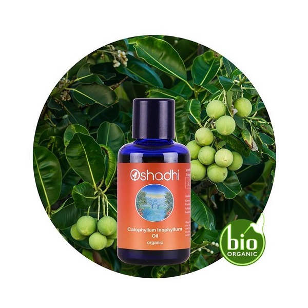 Oshadhi biljno ulje TAMANU 30ml