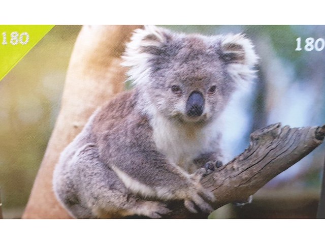 ŽIVOTINJSKO CARSTVO 2016 br.180 Koala