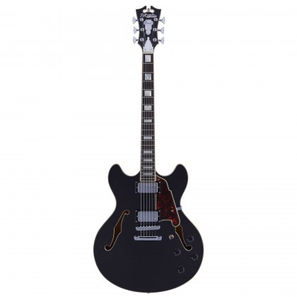 Music box
D'angelico Premier DC Black Flake električna gitara