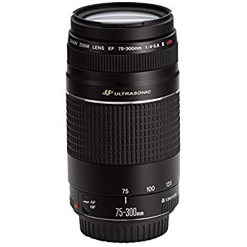 Canon EF 75-300mm
f/4-5.6 III USM