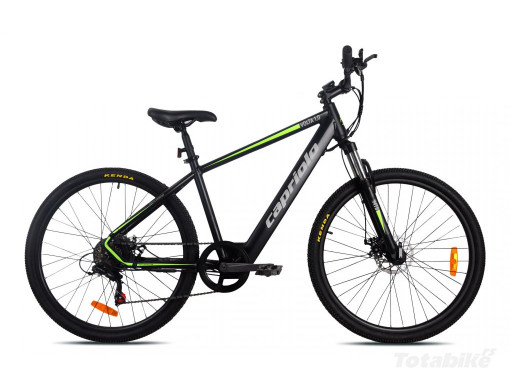 E-bike volta 1.0