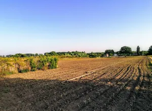 Prodaja Ostale nekretnine - Palilula, Borča