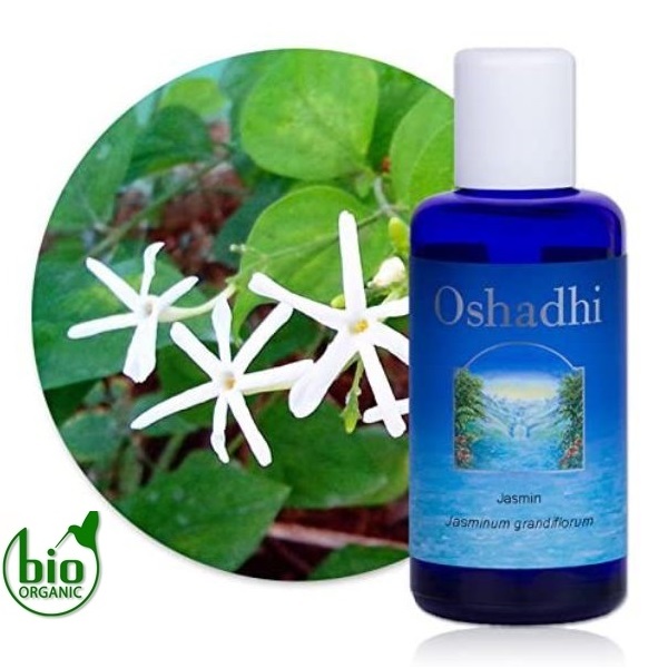 Oshadhi hidrolat JASMIN 100ml