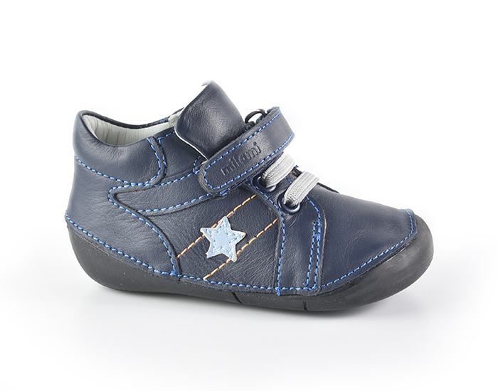 Noel Navy Blue Star