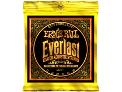 Ernie Ball P02558 EST 80/20 LIGHT AC O
