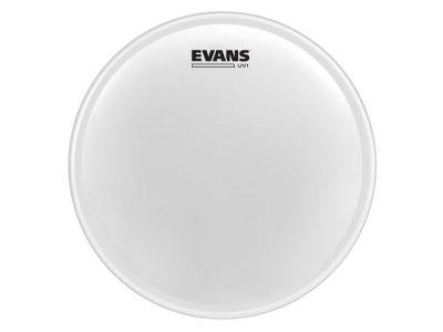 Evans B10UV1