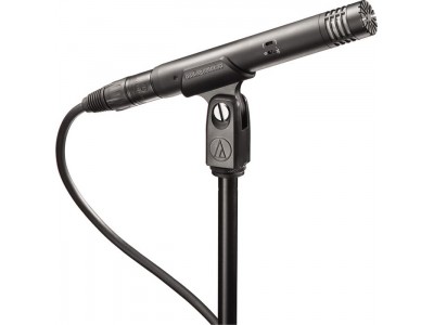 Audio-Technica AT AT4021 Kardioidni kondenzatorski mikrofon