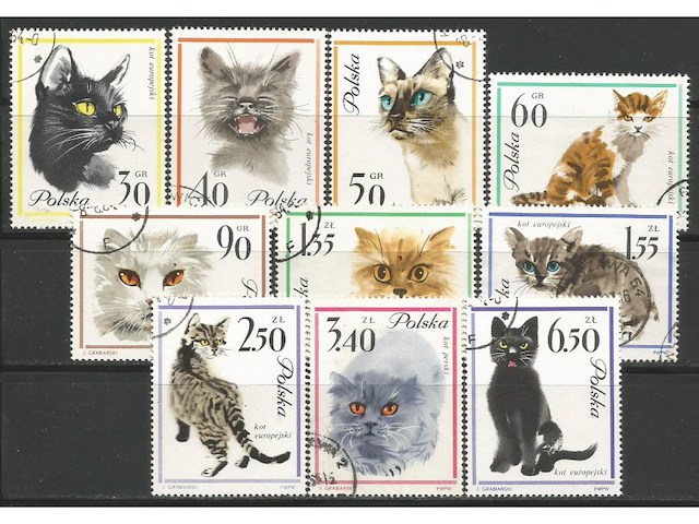 Poljska,Fauna-Mačke 1964.,žigosano sa gumom