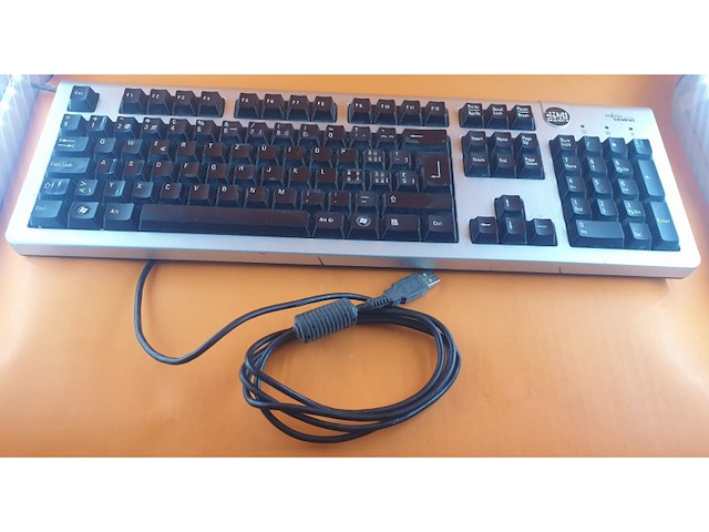 Tastatura Fujitsu Siemens - USB - srebrno-crna