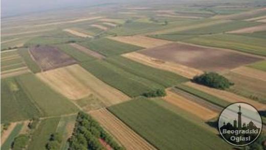 Poljoprivredno zemljiste Tubici-Kosjeric